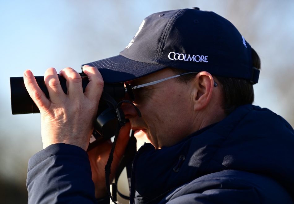 Twain to miss 2,000 Guineas - Coolmore