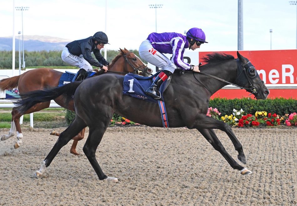 Black Type No Nay Never Colt Off The Mark - Coolmore