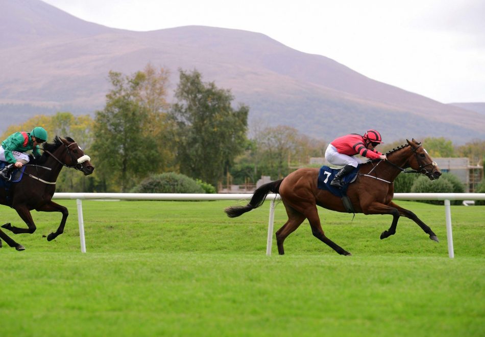 Easy Maiden Success For Sioux Nation Filly - Coolmore