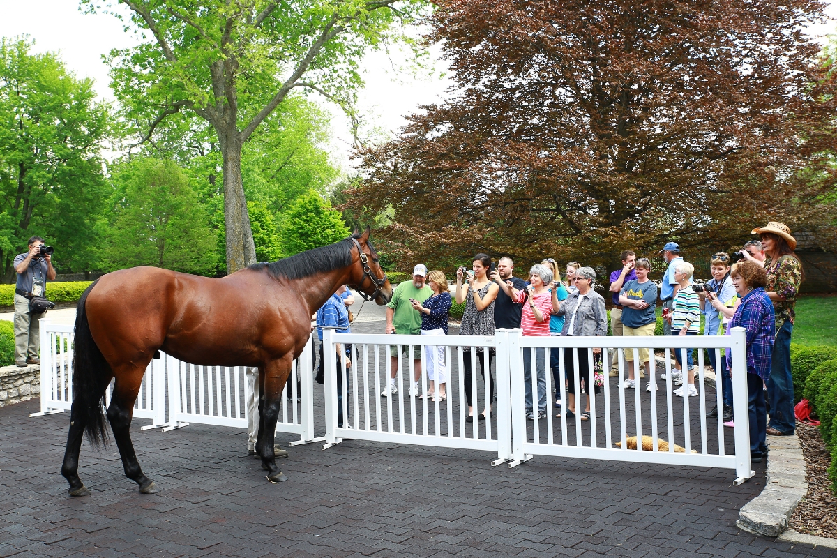 Farm Tours - Coolmore