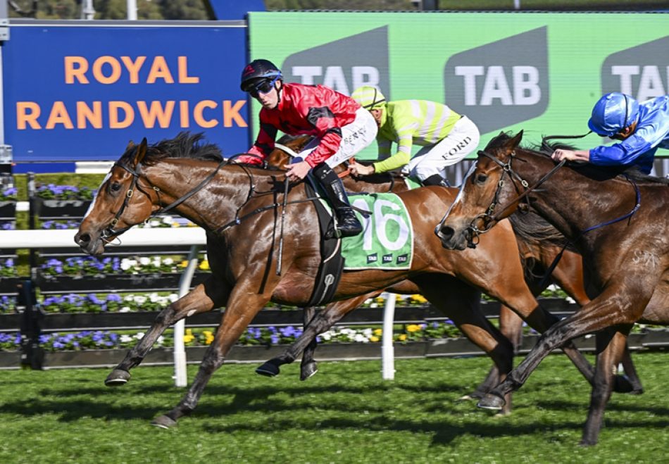 Coolmore Raised Stakes Success - Coolmore