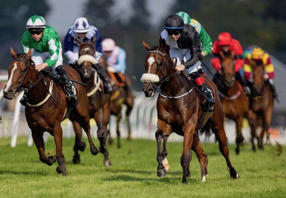Black-Type Sioux Nation Filly Gets Off The Mark - Coolmore