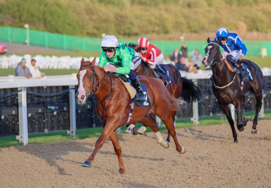 Promising St Mark’s Basilica Colt Gets Off The Mark - Coolmore