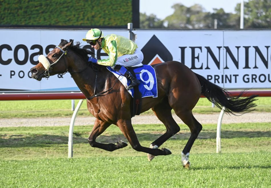 So You Think Mare Wins G3 Tibbie - Coolmore