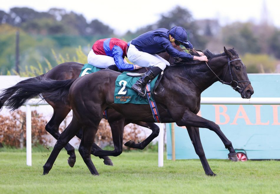 No Nay Never Colts Draw Clear In Leopardstown Group 3 - Coolmore
