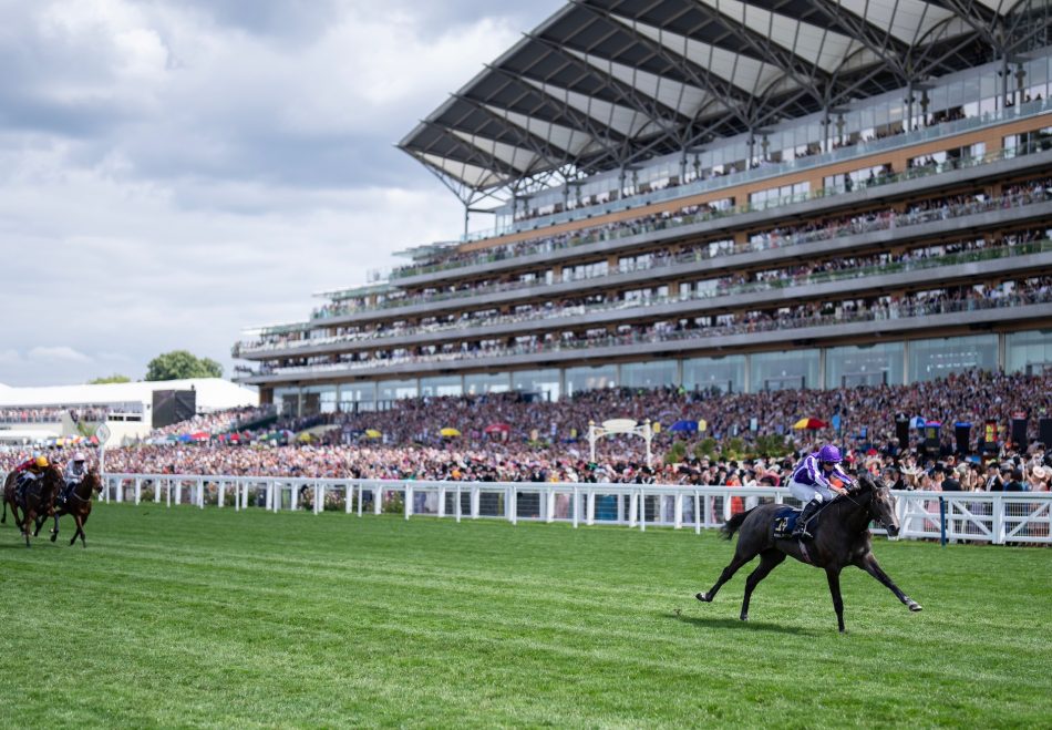 Bedtime Story The New Guineas Favourite After Scintillating Win - Coolmore