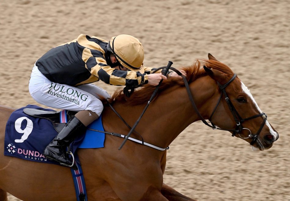 Sioux Nation Filly Strides Clear On Debut - Coolmore
