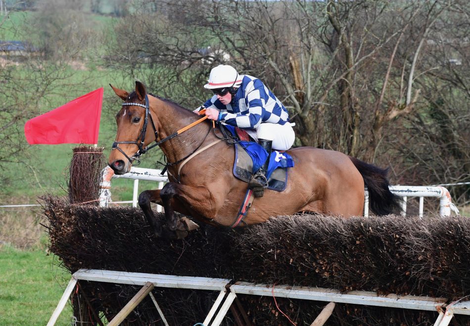 Mahler Mare Gets Off The Mark In Good Style - Coolmore