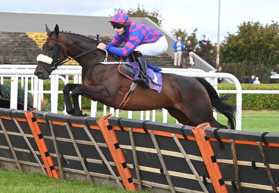 Son Of Vadamos Coasts Clear In Maiden Hurdle - Coolmore