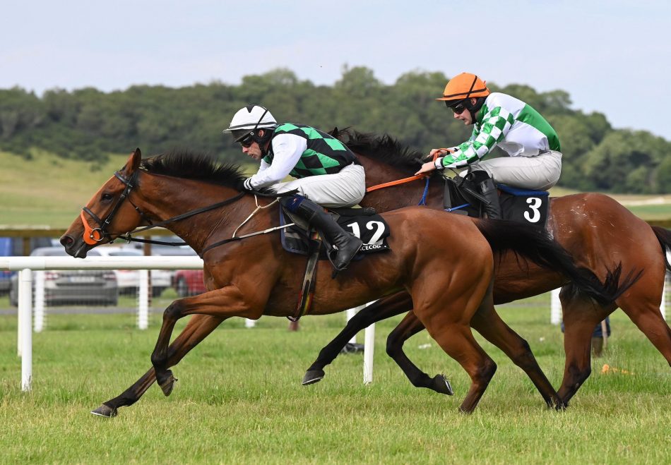 Promising Order Of St George Mare Gets Off The Mark - Coolmore
