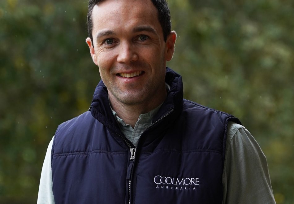 McGuire Joins Coolmore Australia - Coolmore