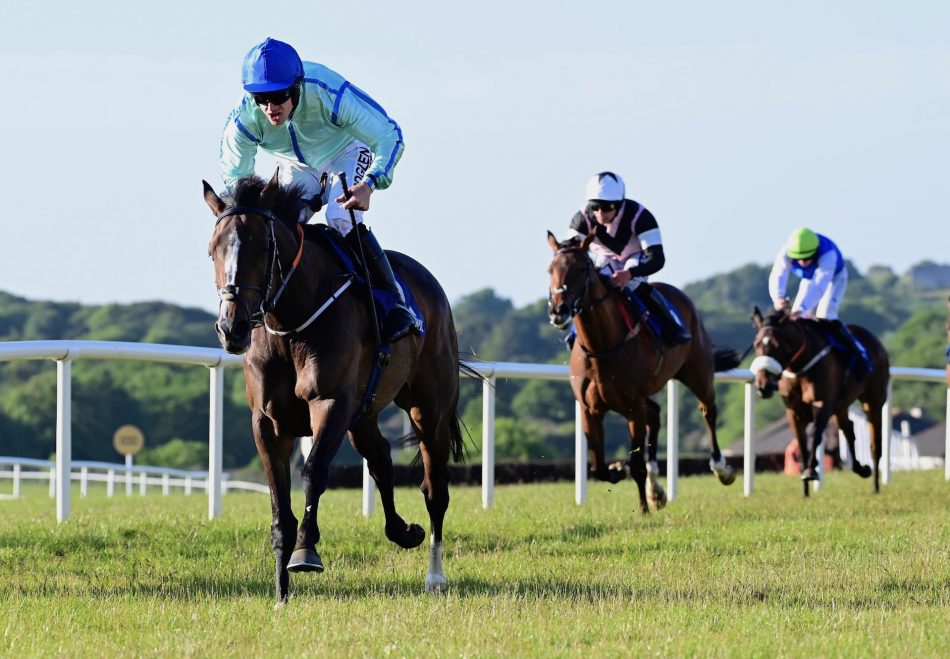 Promising Vadamos Mare Gets Off The Mark - Coolmore