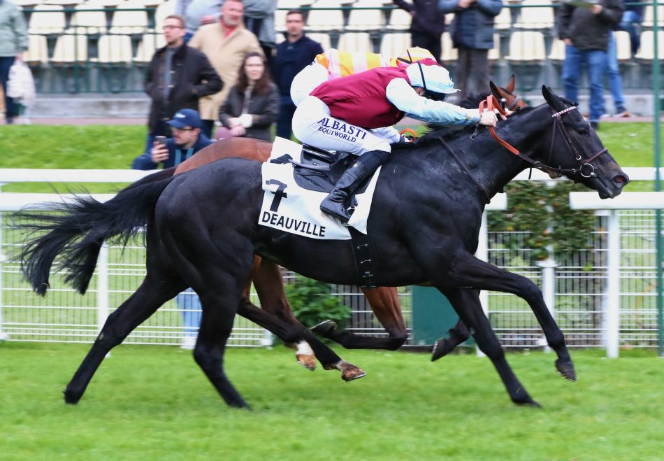 Calyx Colt Wins Maiden With Smart Turn Of Foot - Coolmore