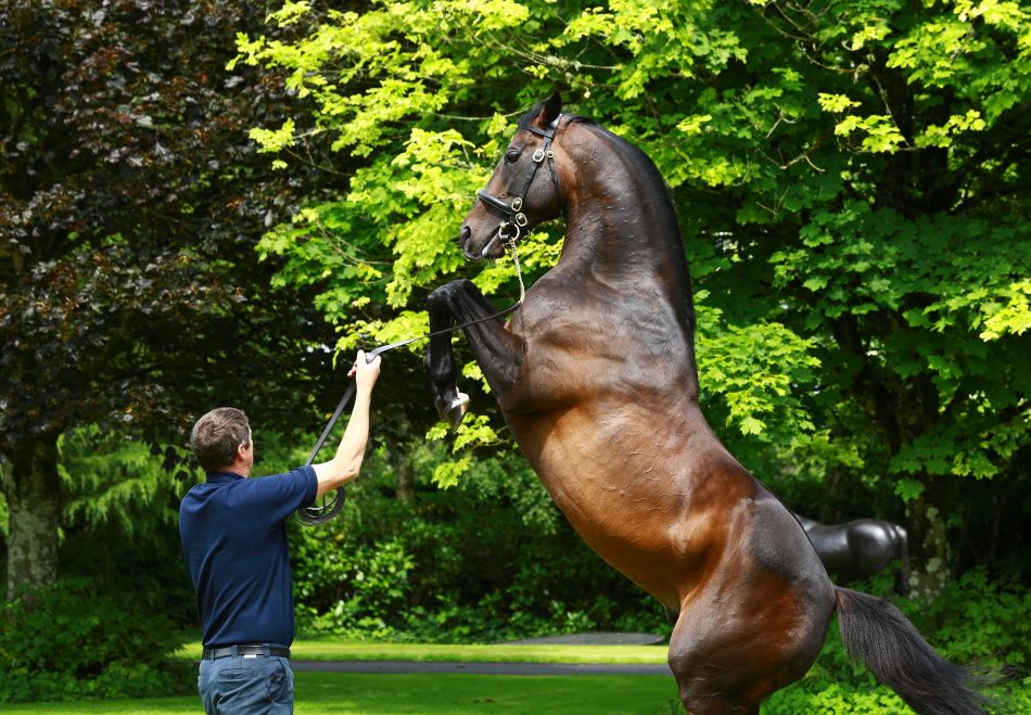 Camelot Colt Strengthens Classic Claims On Reappearance - Coolmore