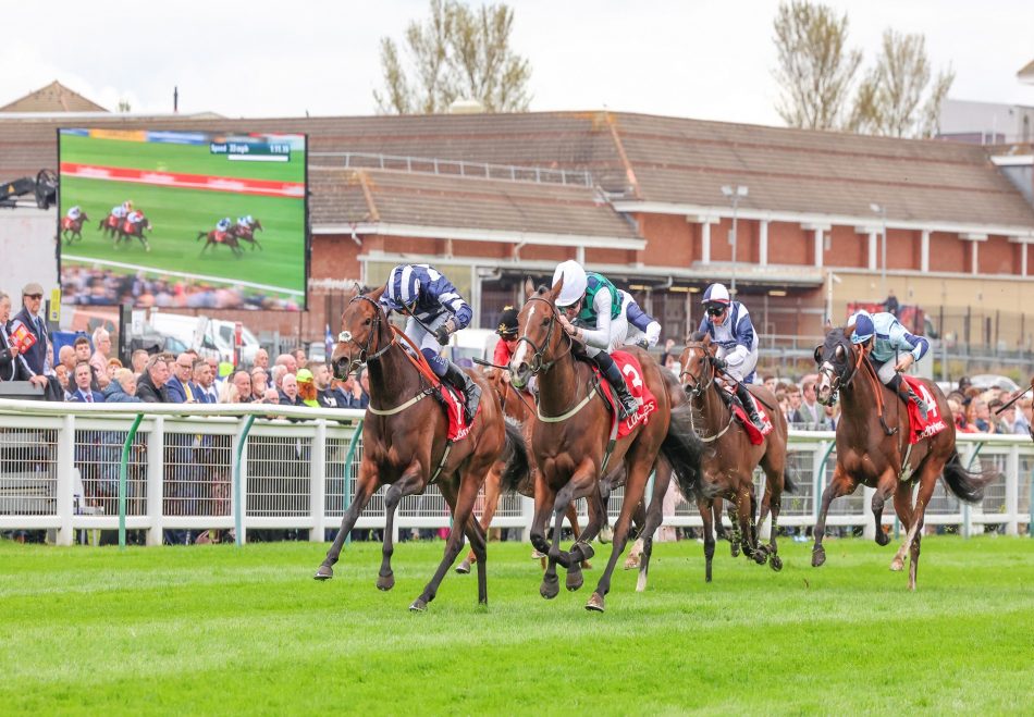 Group Success For Juvenile No Nay Never Filly - Coolmore