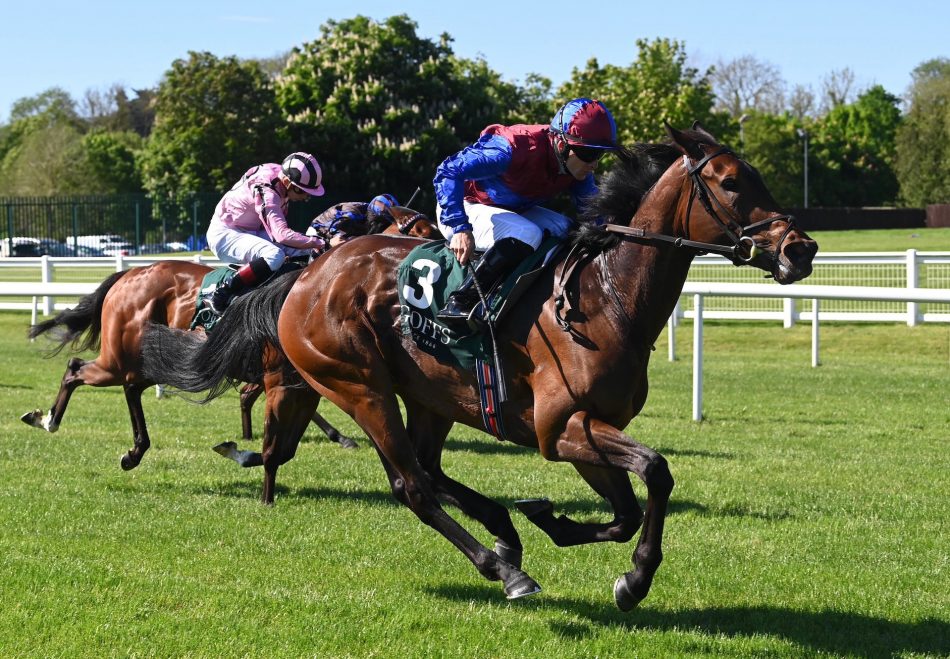 Classy No Nay Never Filly Takes Sprint Stakes - Coolmore