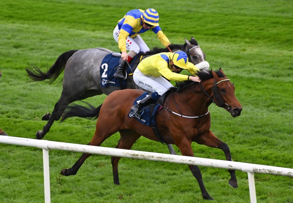 Juvenile Starspangledbanner Colt Off The Mark - Coolmore