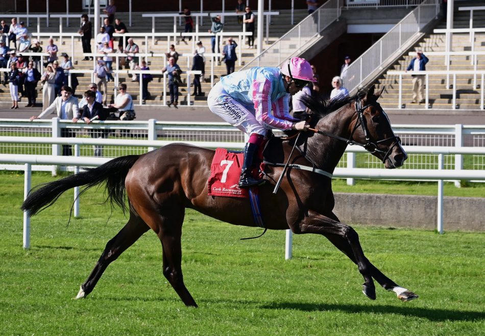 Pricey Sioux Nation Filly Impresses On Debut - Coolmore