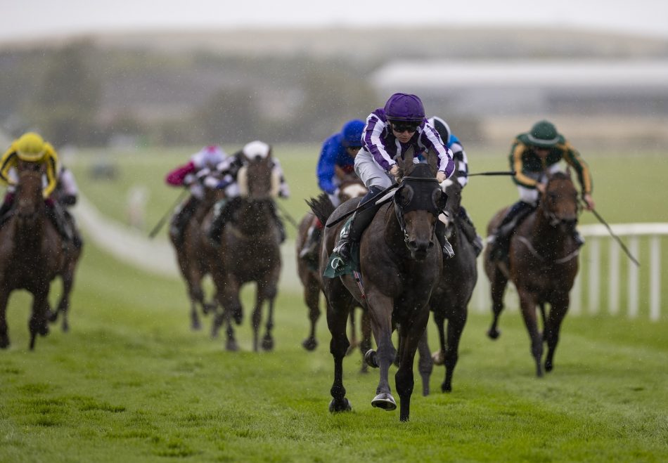 Son Of No Nay Never Gets Off The Mark - Coolmore