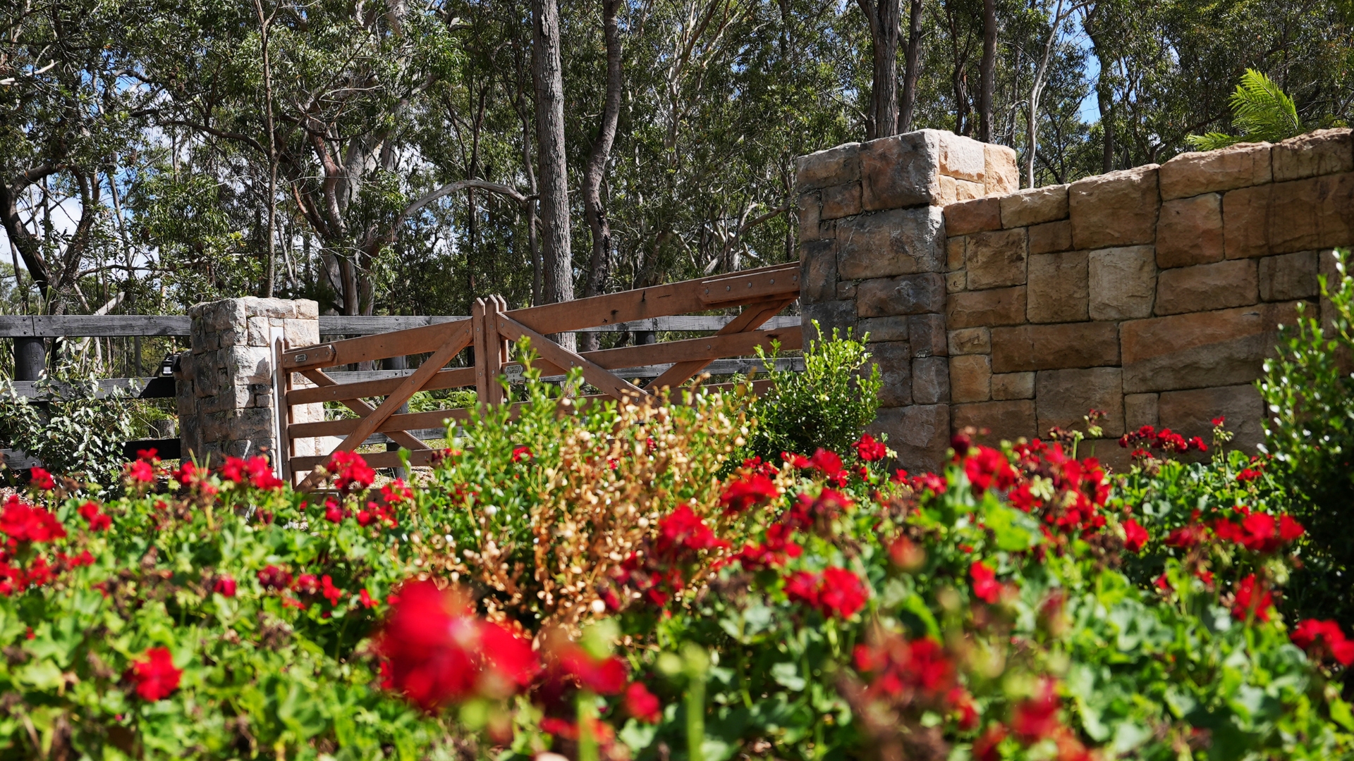 Mt White Farm - Coolmore