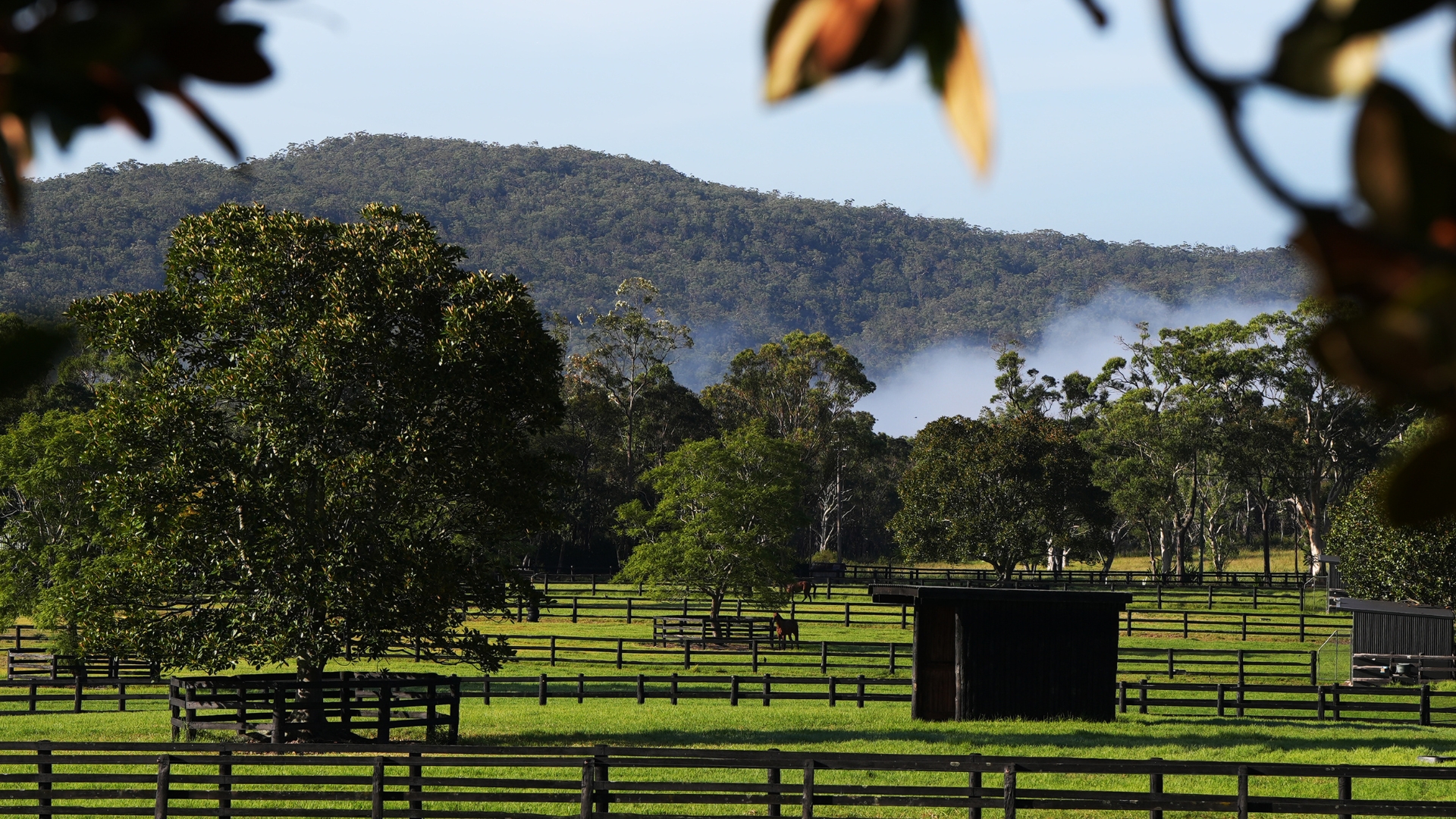 Mt White Farm - Coolmore