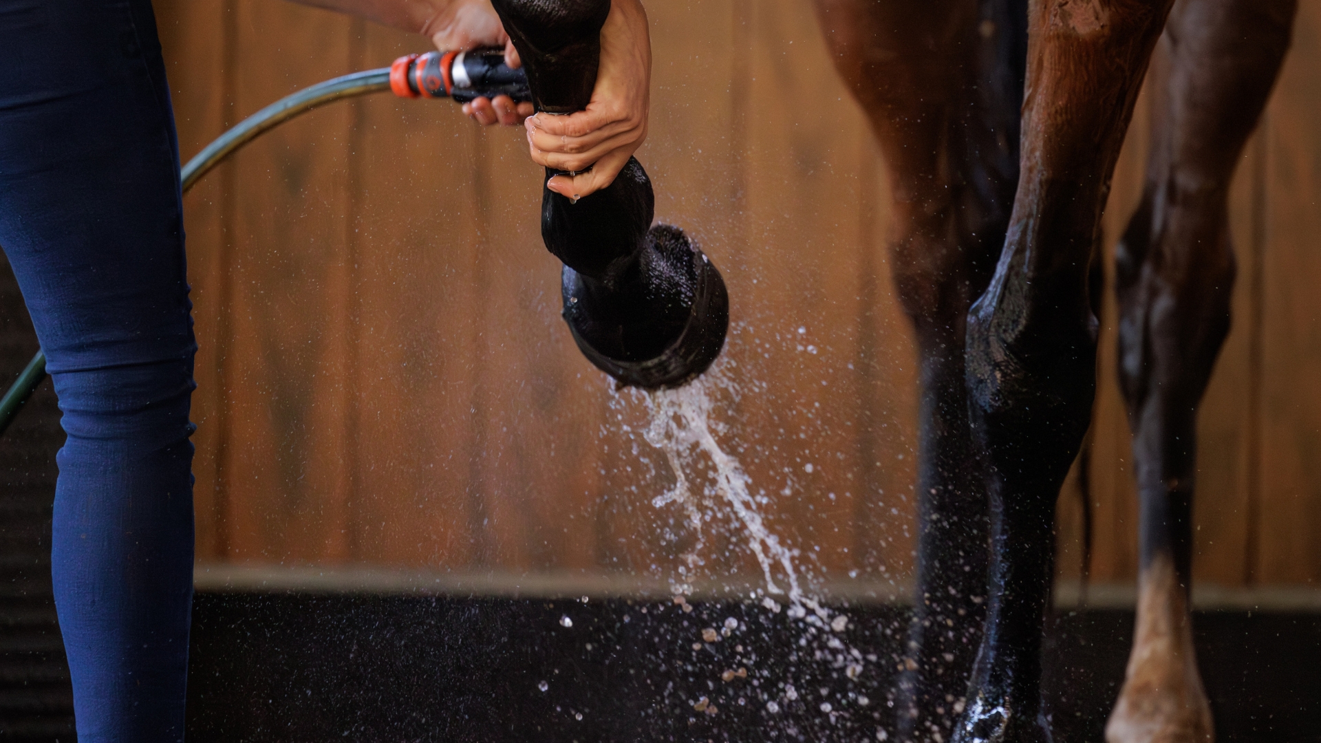 Mt White Farm - Coolmore