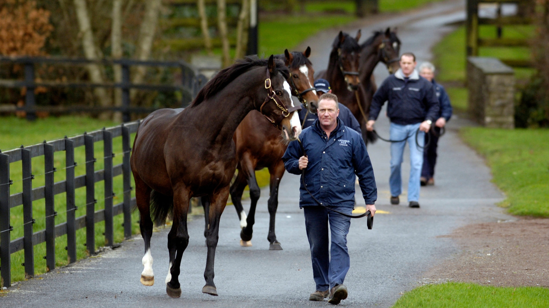 About Us - Coolmore