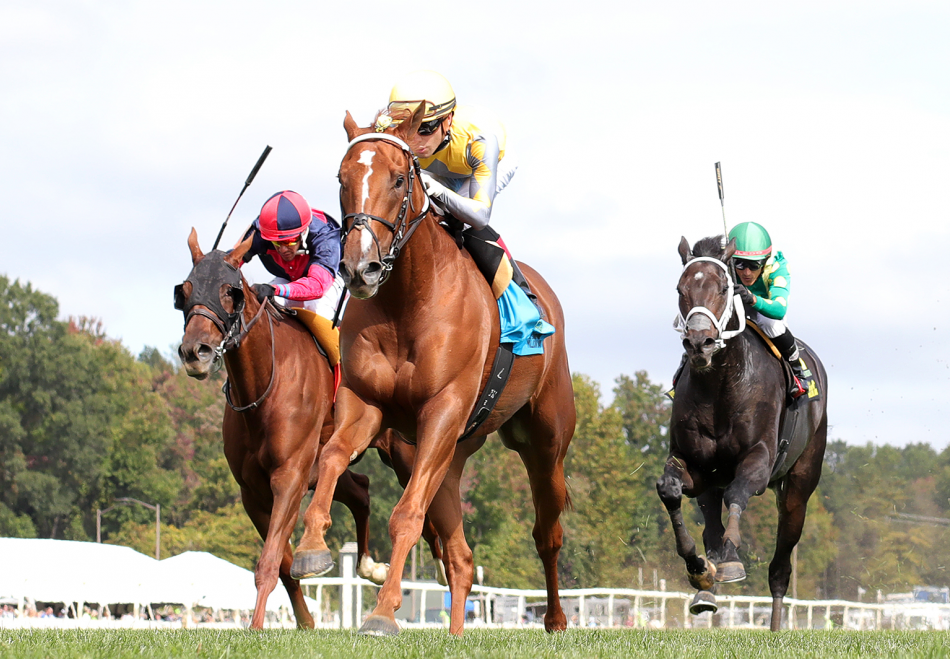 Practical Joke’s Coringa Wins Maryland Million Turf - Coolmore