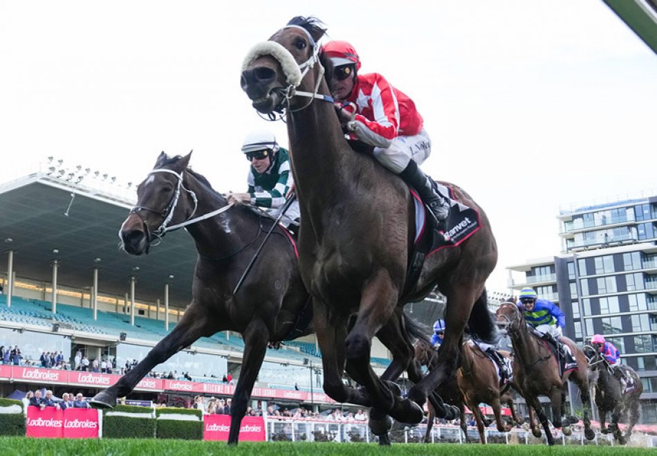 Aussie G1 Goal for Desert Lightning - Coolmore