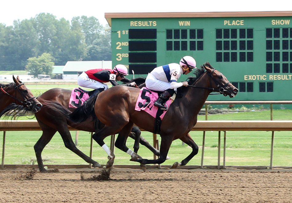 Echo Sound Determined Winner for Echo Town - Coolmore