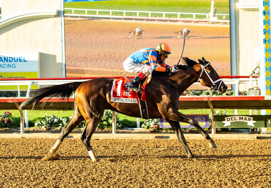 Fierceness Easy G1 Pacific Classic Winner - Coolmore