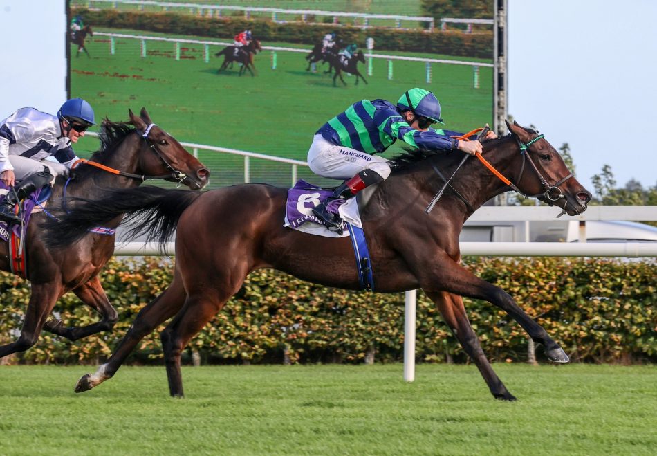 Camelot Filly Gets Off The Mark At Leopardstown - Coolmore