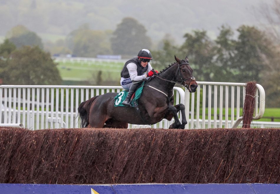 Grade 1 Winning Son Of Yeats Delivers On Chase Debut - Coolmore