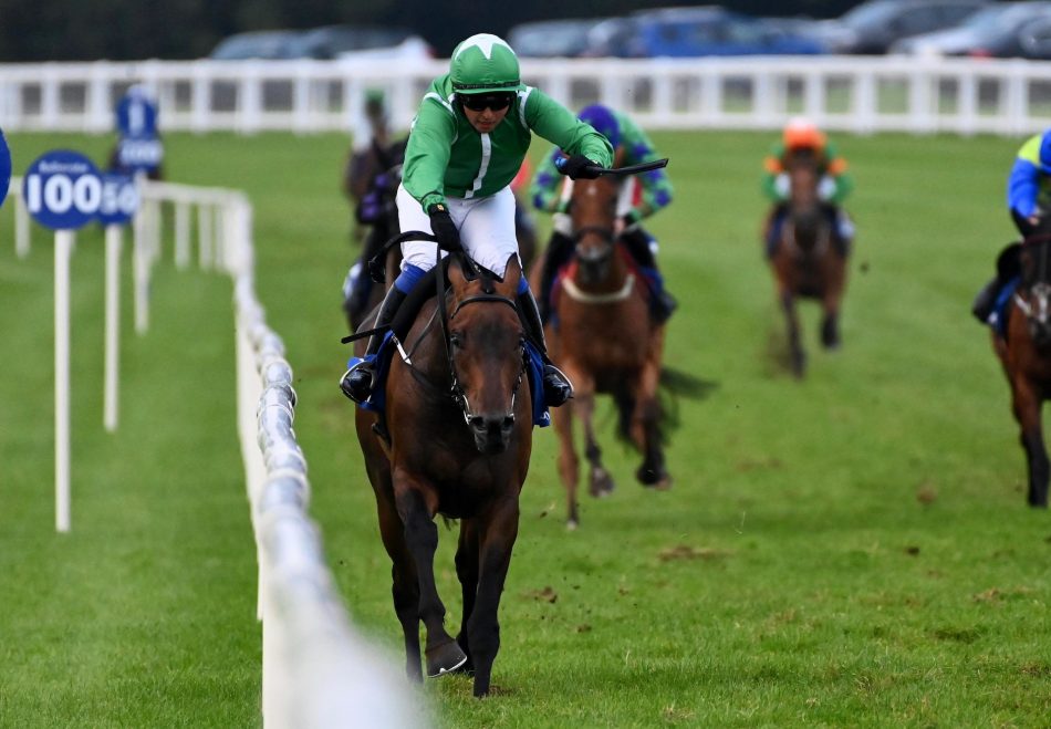 Well-Backed Son Of Yeats Impresses On Debut - Coolmore