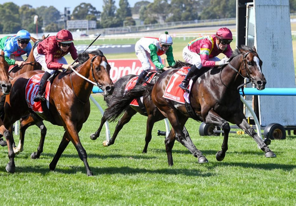 One So Close and One So Exciting - Coolmore