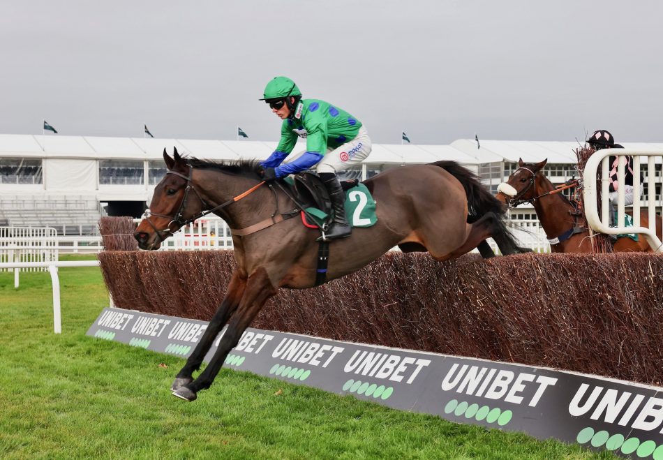Son Of Yeats Follows Up In Novice Chase at Cheltenham - Coolmore