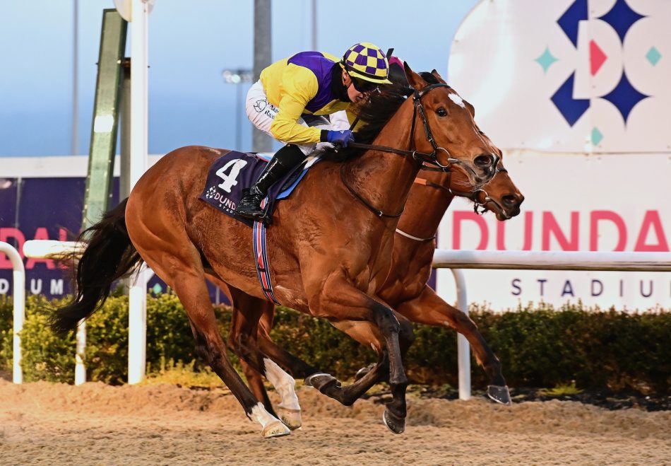 Son Of Gleneagles Delivers On Debut - Coolmore