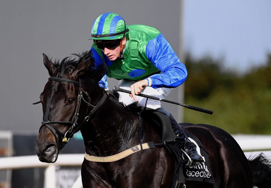 Promising Son Of Sioux Nation Wins Maiden In Style - Coolmore