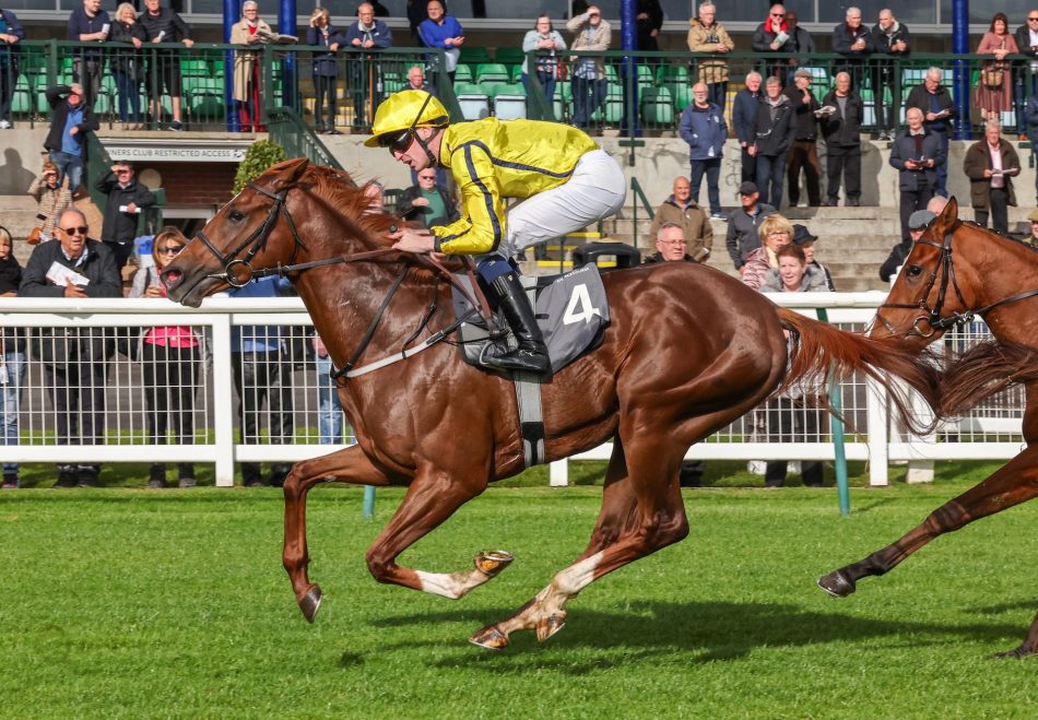 Calyx Colt Makes All To Win Sprint Maiden - Coolmore