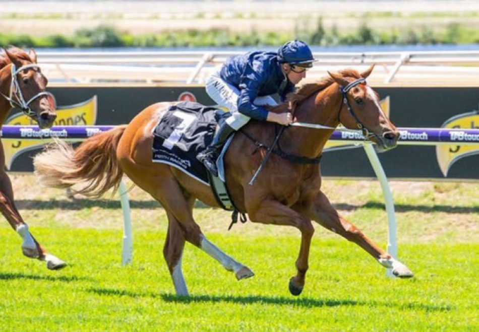 Golden Vale Goes Two for Two – Perth Magic Millions Next! - Coolmore