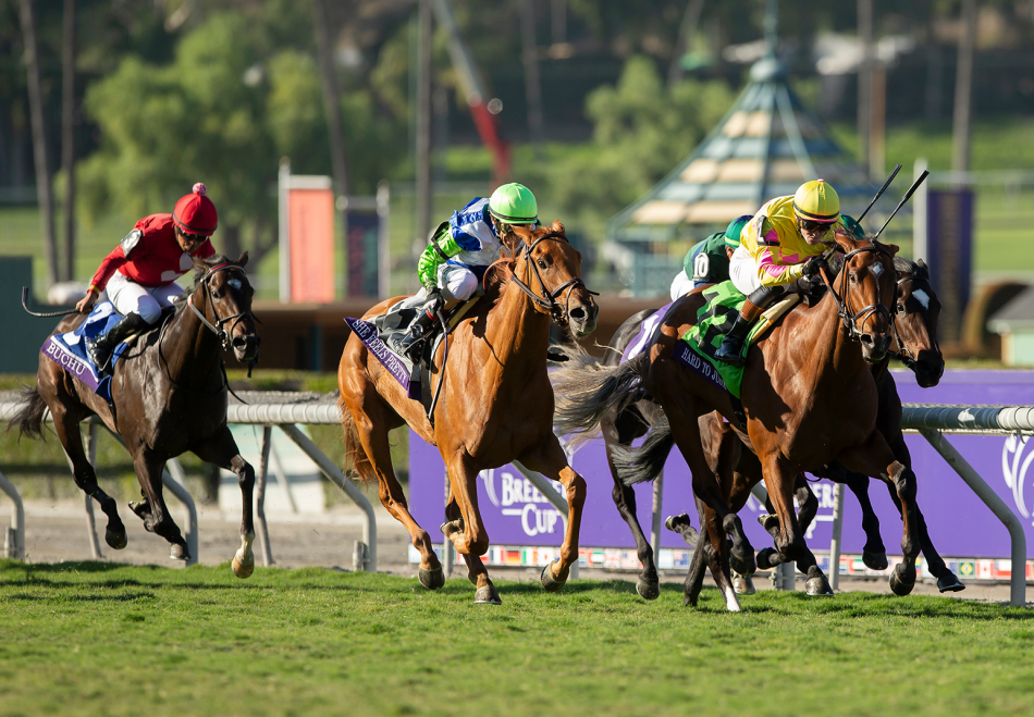 Hard To Justify Wins Breeders’ Cup Juvenile Fillies Turf - Coolmore