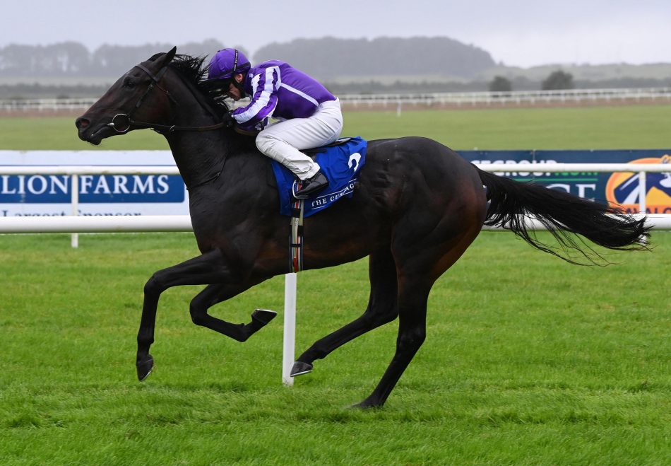 Promising Wootton Bassett Juvenile Off The Mark - Coolmore