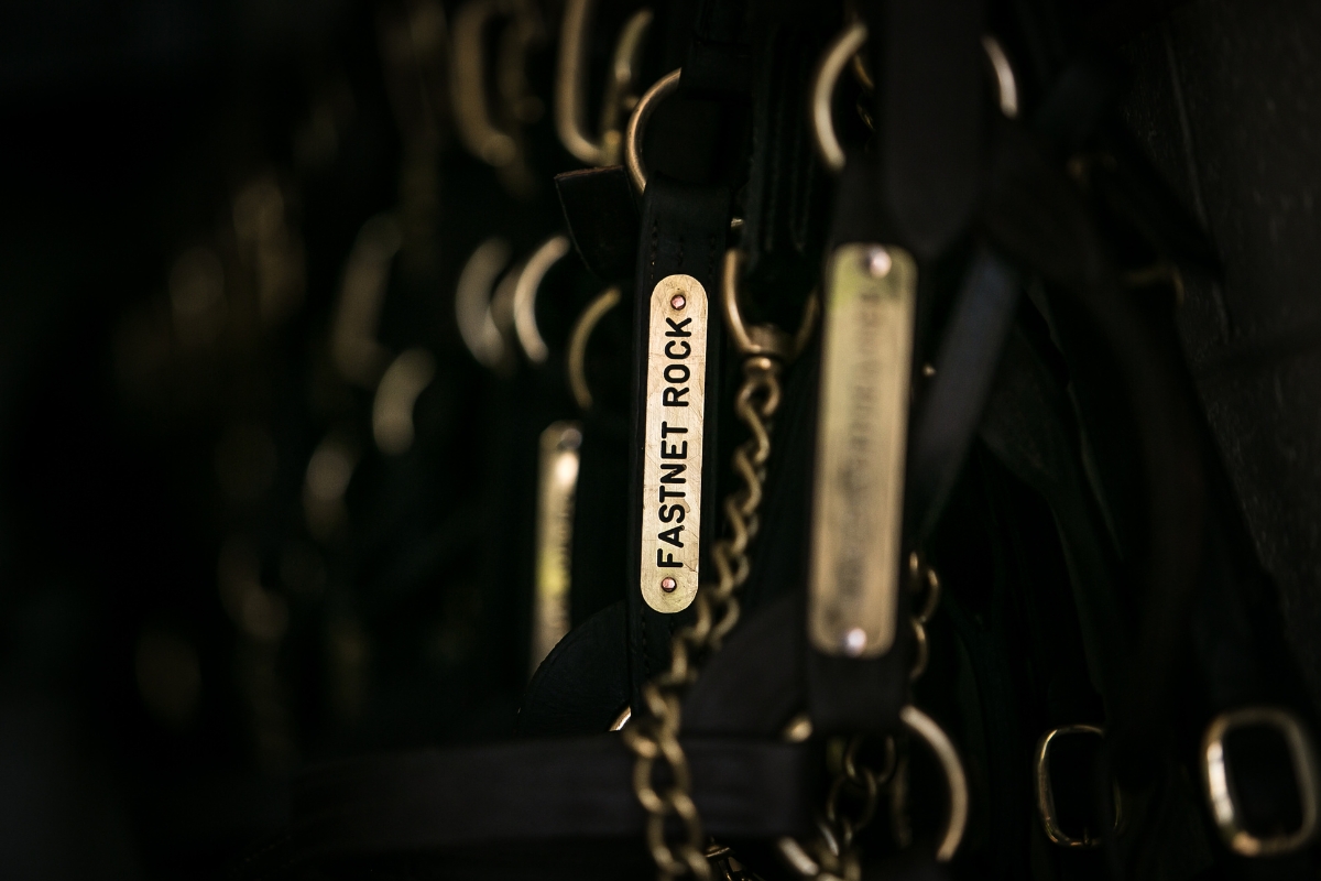 About Us - Coolmore