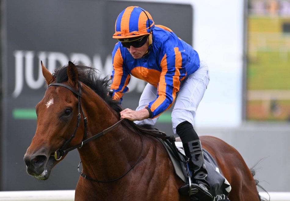 Henry Longfellow to Retire to Coolmore Stud - Coolmore