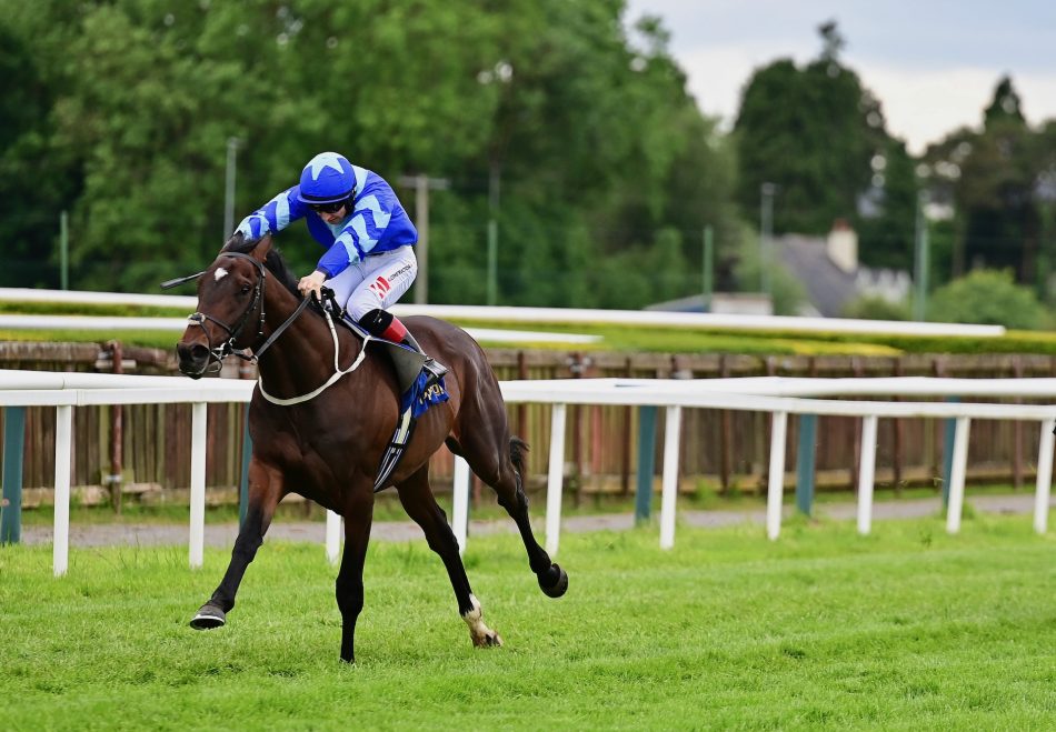 Promising Camelot Colt Gains Deserved Maiden Win - Coolmore