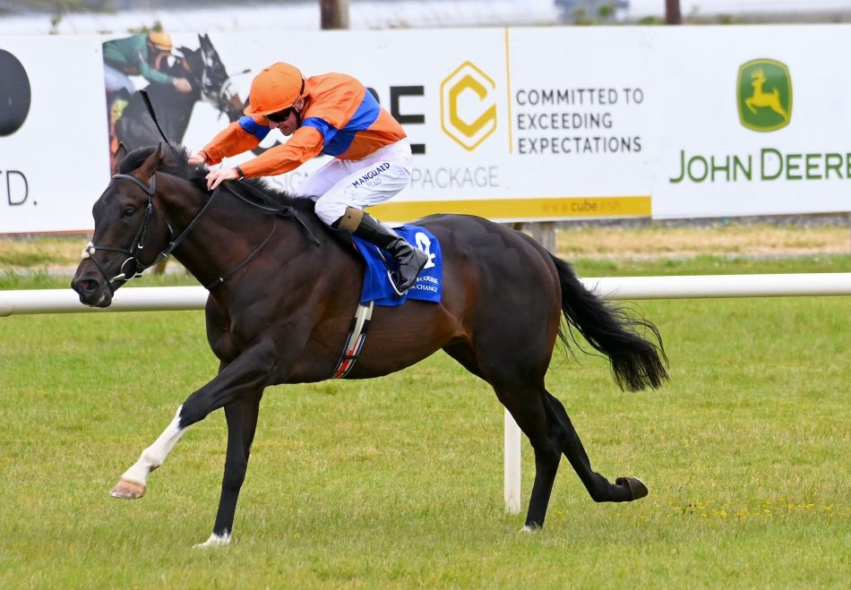 Promising No Nay Never Colts Get Off The Mark - Coolmore