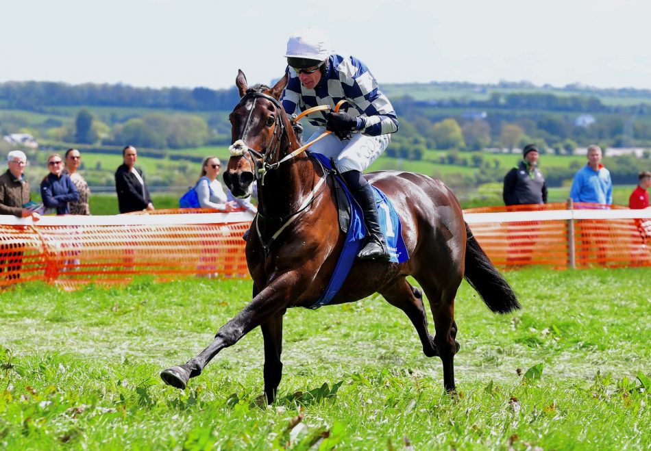 Promising Maxios Gelding Lands Four-Year-Old Maiden - Coolmore