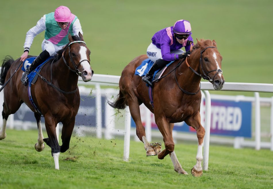 Progressive Churchill Colt Follows Up At Epsom - Coolmore