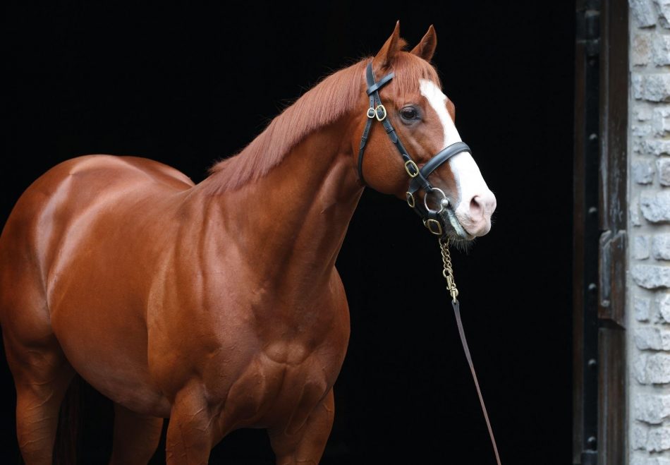 Jack Christopher Yearlings Set for Keeneland January - Coolmore