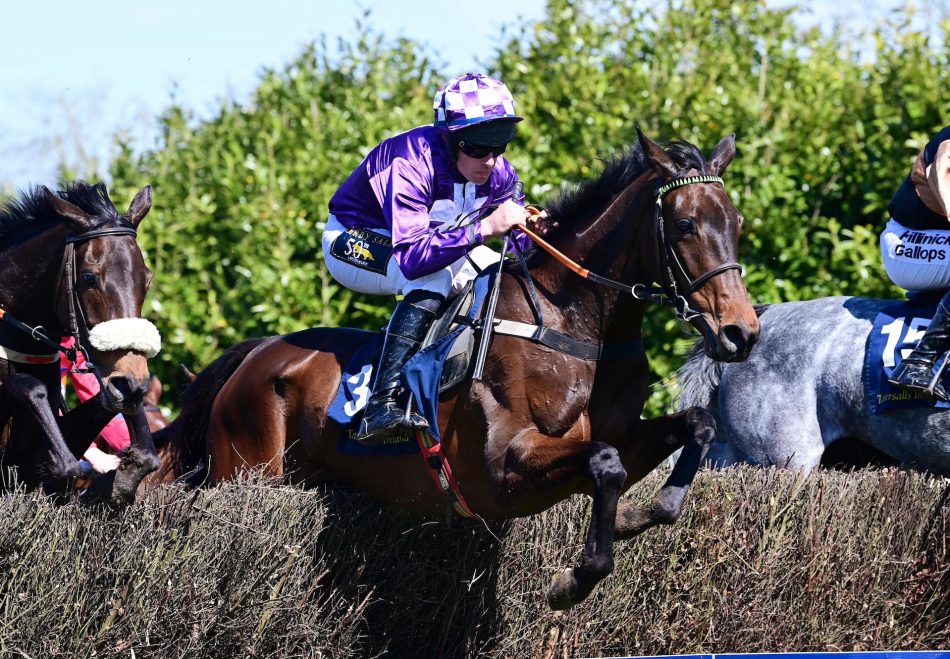 Debut Winner Continues Soldier Of Fortune’s Fine Run - Coolmore